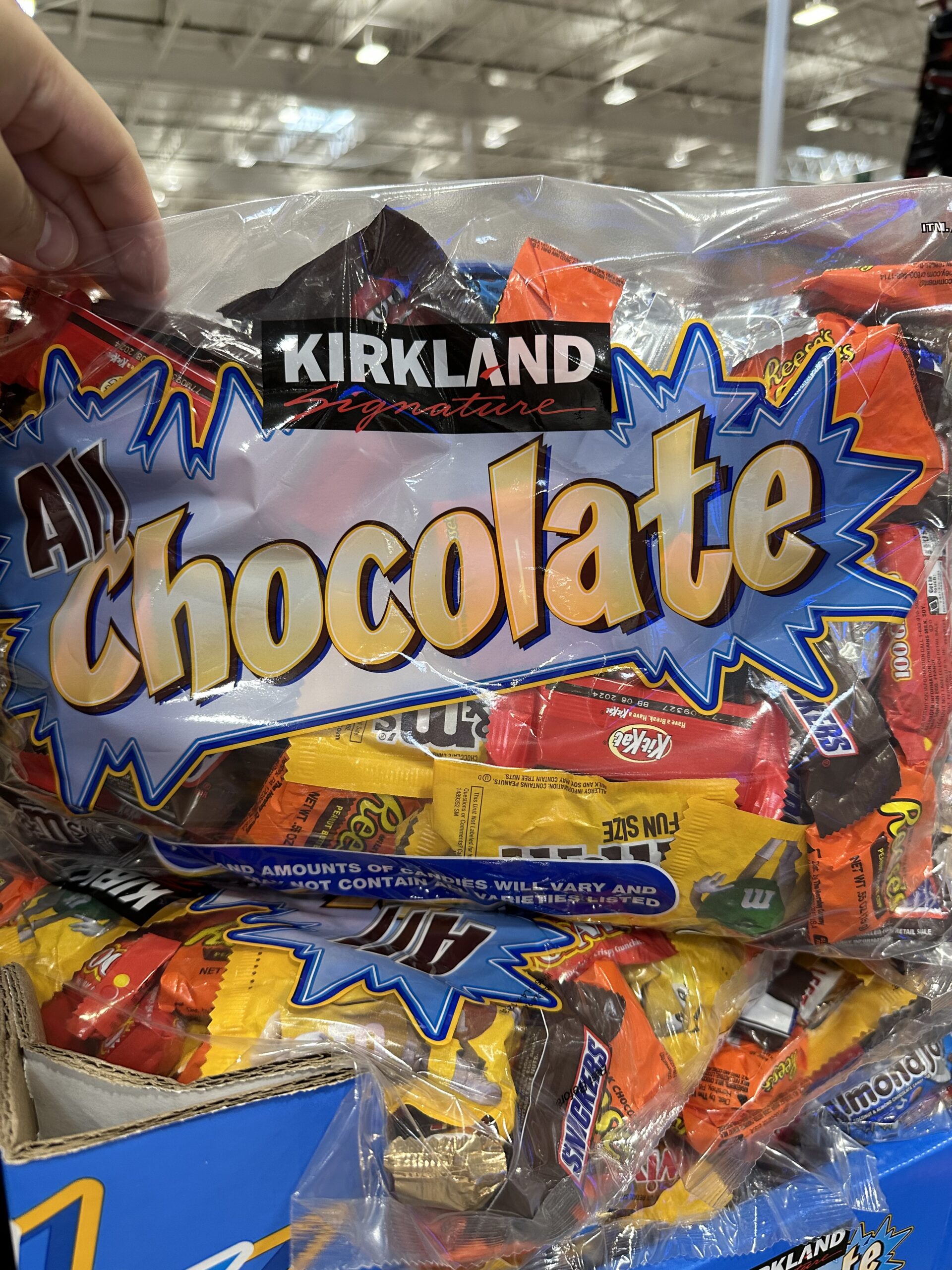 🍬 Halloween Candy and More?! - Costco Deals